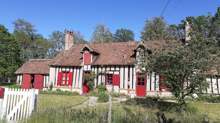 Maison Solognote Authentique Et Chaleureuse - Lamotte-Beuvron