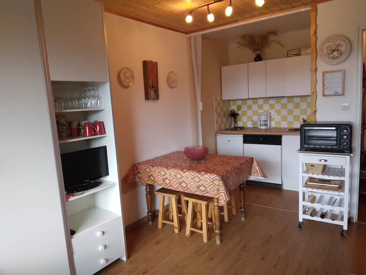 Studio 4 Pers ,Alpe  D 'Huez,proche Des Pistes - L'Alpe d'Huez