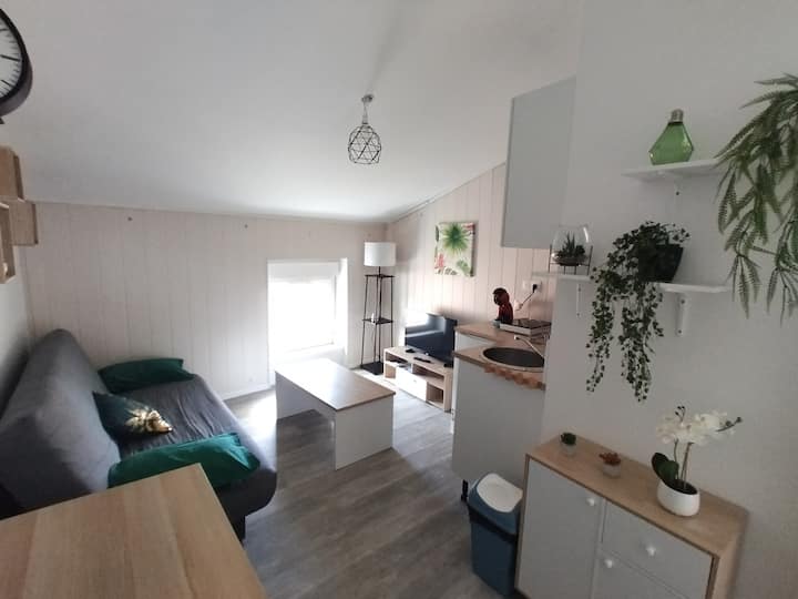 Studio "Rio" à Issoire - Issoire
