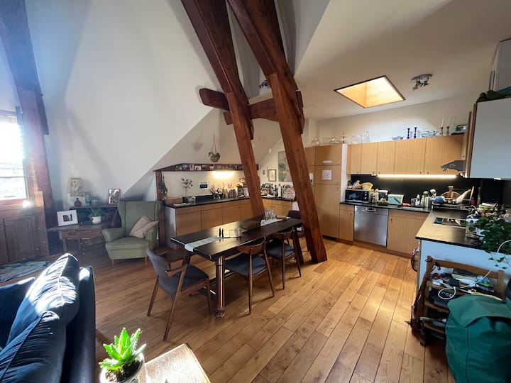 Large And Cozy Attic Apartment - جنيف