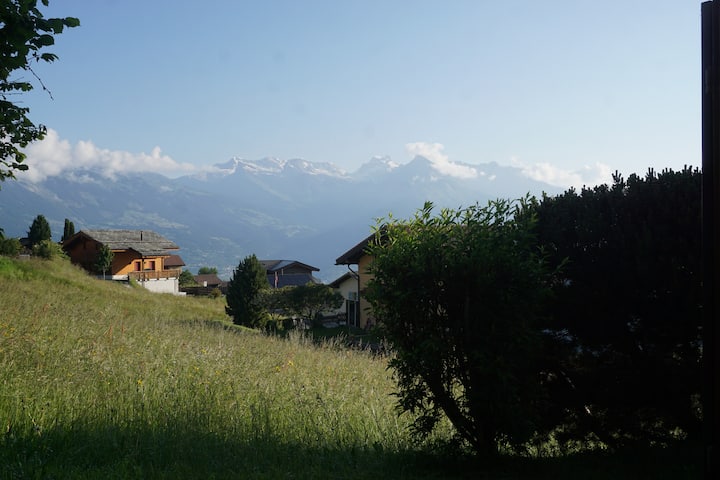 Spacious & Renovated Apartment - Veysonnaz