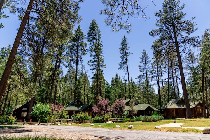 Tranquil Studio At Eagle Creek - Idyllwild-Pine Cove, CA
