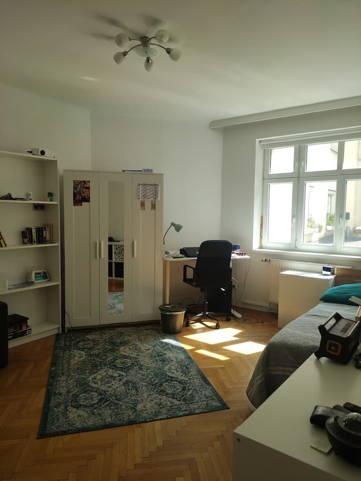 Unique 2.5 Room Apartment In Wien-josefstadt 40sqm - Wien