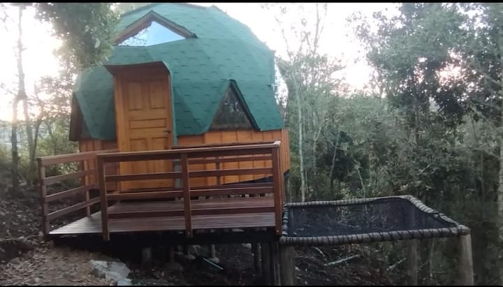 Glamping Pinus - Tunja