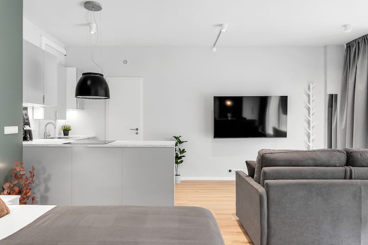 Charming Studio In Reykjavík - Reykjavík