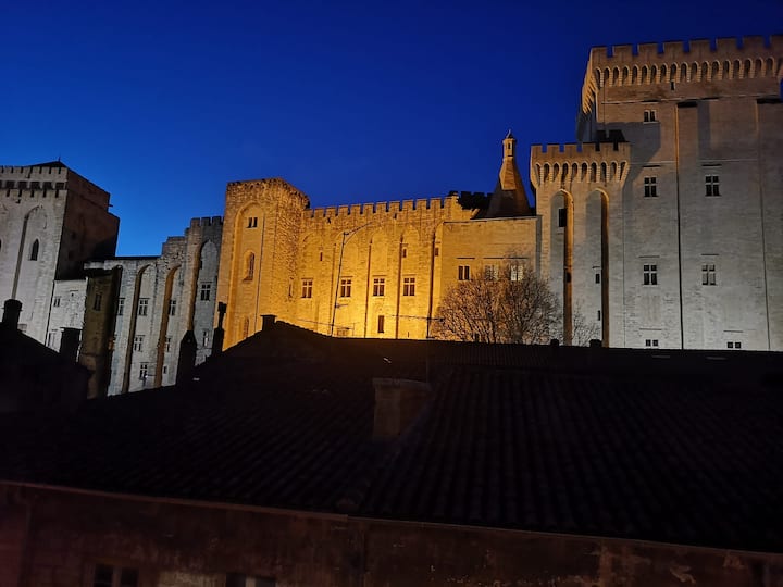 Vue Exceptionnel Sur Le Palais - Sauveterre