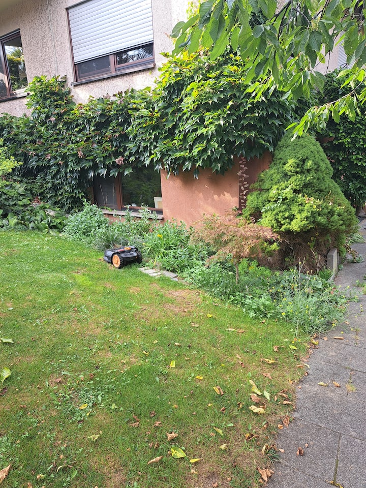 All-in-single-wohnung - Radolfzell am Bodensee