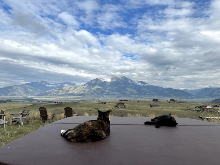 Long Term Only Million$ View Retreat - Emigrant, MT