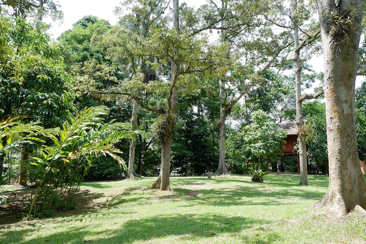 Whole Campsite At Janda Baik - 文冬