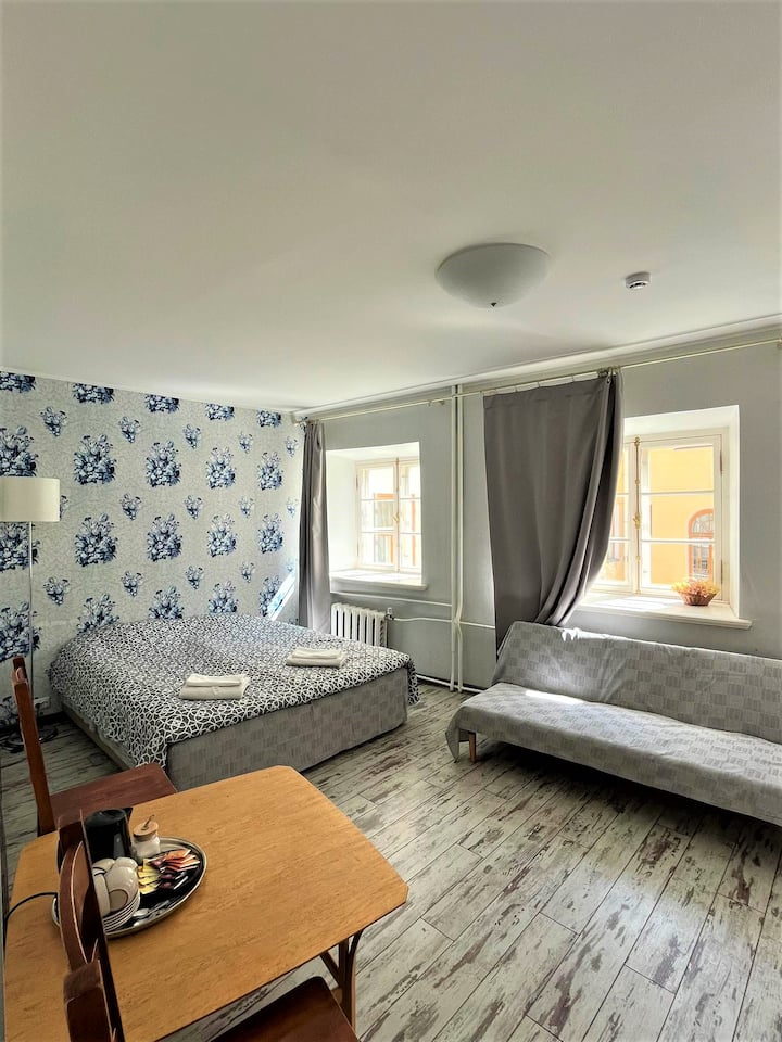 Family Room In Old Town Guesthouse - タリン