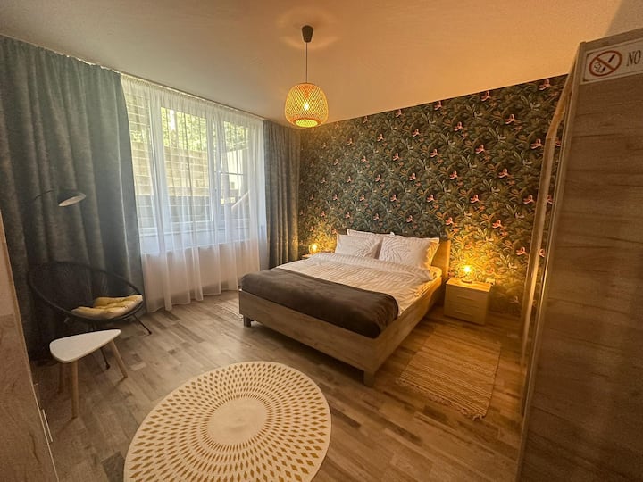 Newlevel Studio Brasov - Brașov