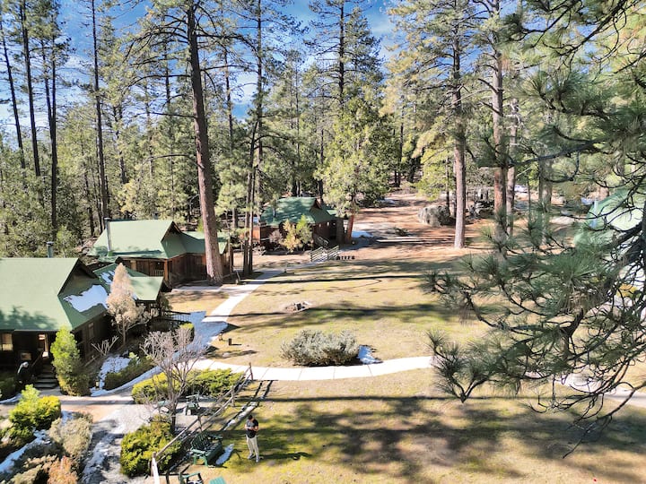 Private Mountain Retreat - Idyllwild-Pine Cove, CA