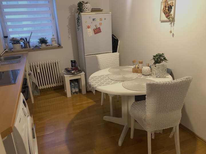 Private Room For Sightseeing In Munich - Munich