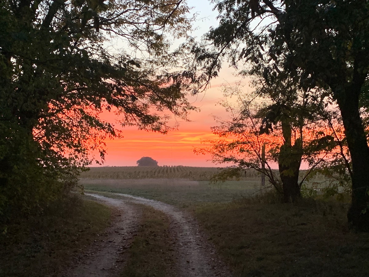 Homestead on the Oregon Trail - Houses for Rent in Kenesaw, Nebraska ...
