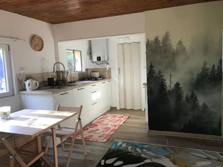 La Maison Des Bois - Hauteville-Lompnes