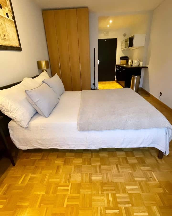 Comfortable Studio / Old Town' - Ginevra