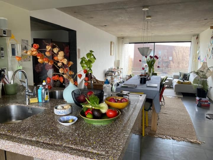 Light And Spacious Appartment - Amsterdam