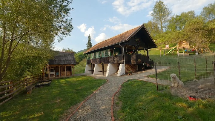 La Răscoala - Petrila