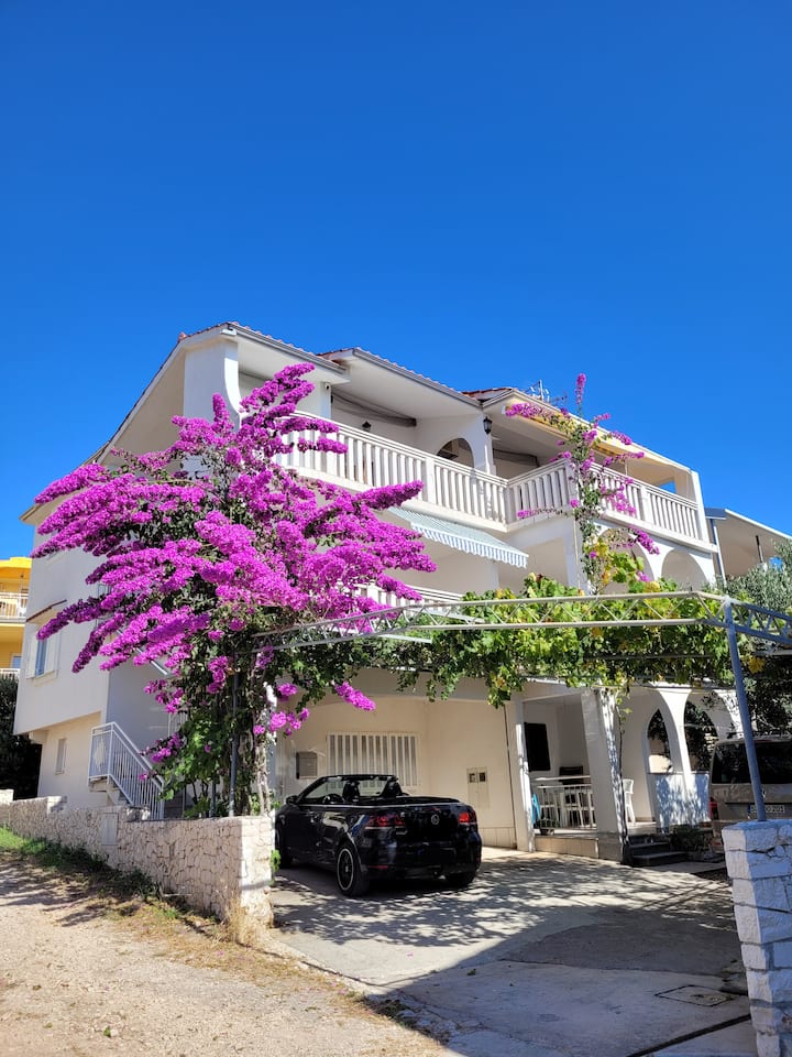 Villa Dalmatia Apartment Erdgeschoss - Sevid