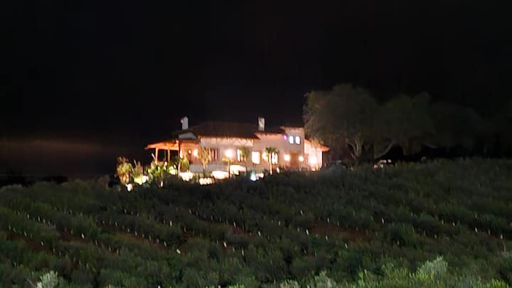 úNica Con Encanto Y Exclusiva - Arronches