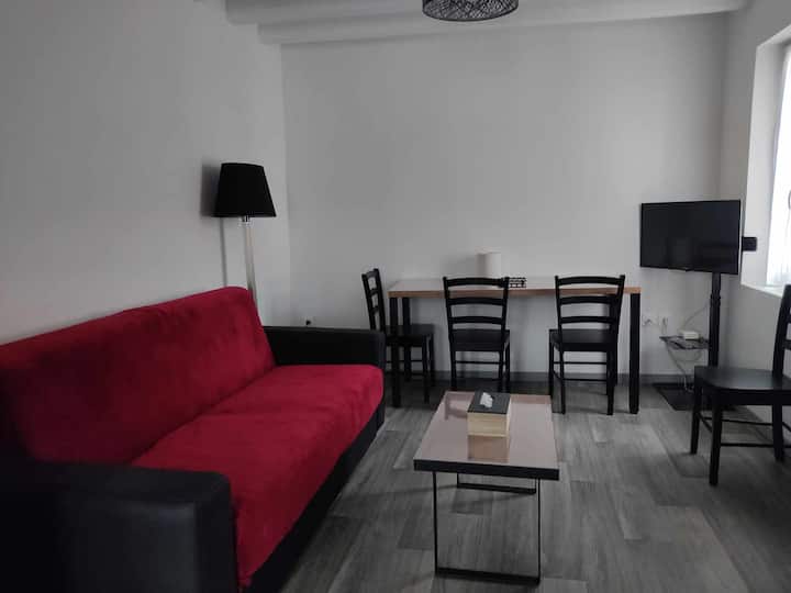 Maison à Deux Pas Du Centre Ville - Aire-sur-l'Adour