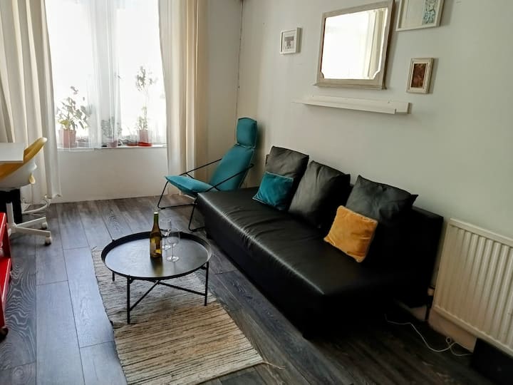 Cosy And Affordable Apartment - Glasgow
