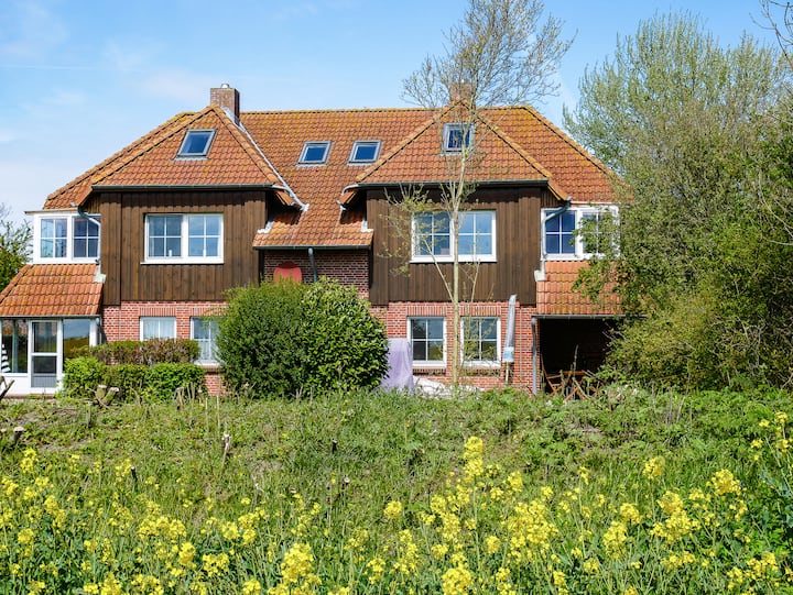 Ferienwohnung Auf Fehmarn - Fehmarn