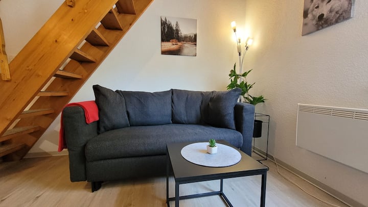 Berg-büdchen - Schnuckelige Maisonette-fewo - Sankt Andreasberg