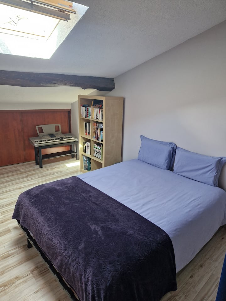 Chambre Blue Moirans Centre Ville - Voreppe