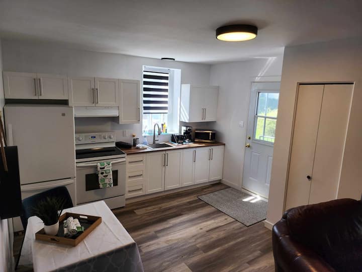 Appartement Au Centre Ville - Saguenay