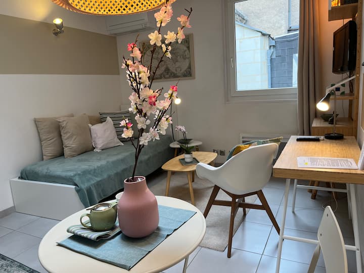 Calme Quiétude,  Plein Coeur De Ville Vue Sur Toit - Tours