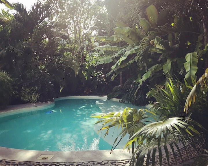 Private Apt In A Tropical Oasis, Mango - Mérida