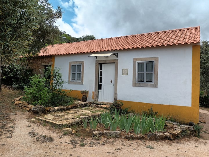 Casa Dos Terranhos - Tomar