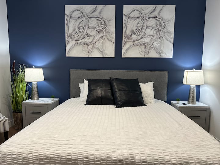 King|gym|w/d|balcony|bbq|300mbps - Madison, WI