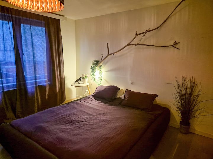 Appartement Met Groot Terras - Gand