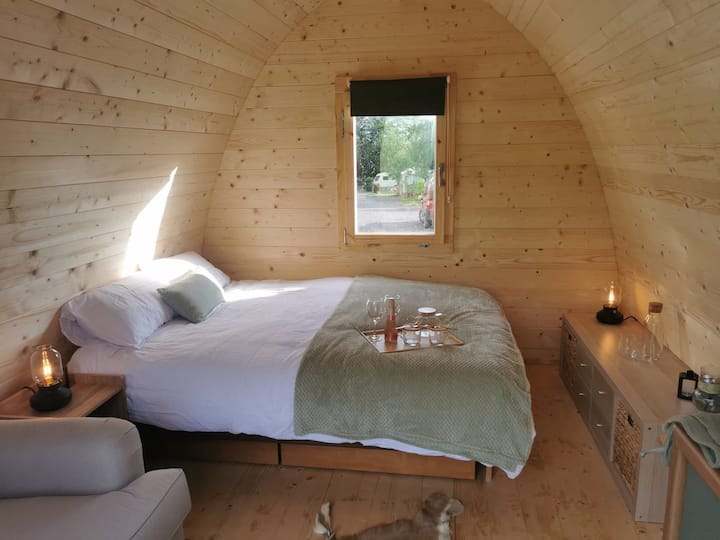 Y Nyth - The Nest - Bridgend