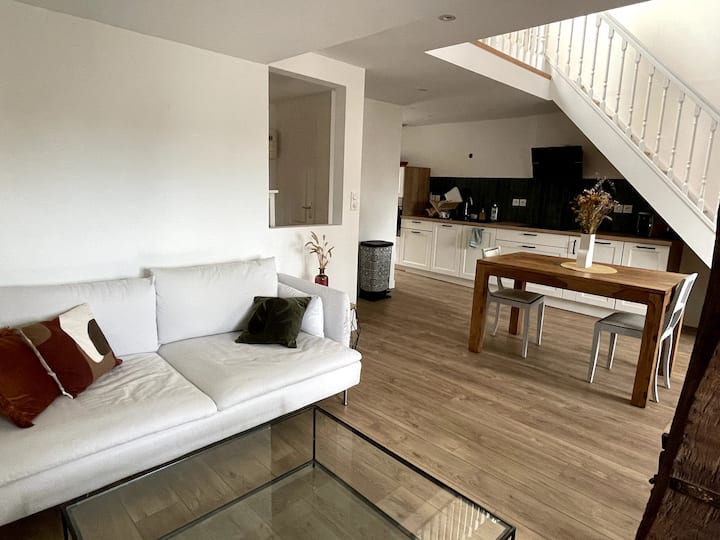 Appartement Bord De Loire - Orléans