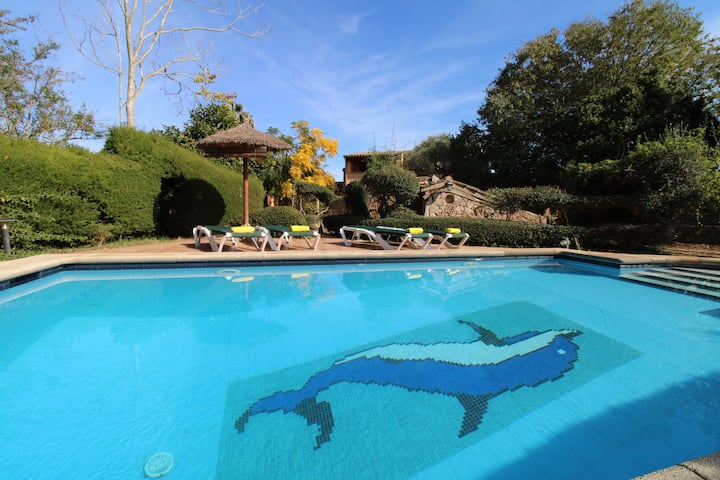 Can Gato Den Vives - Pollensa