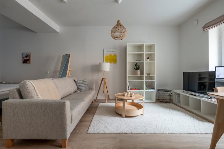 Rest Spacious Studio In Helsinki - Helsinki