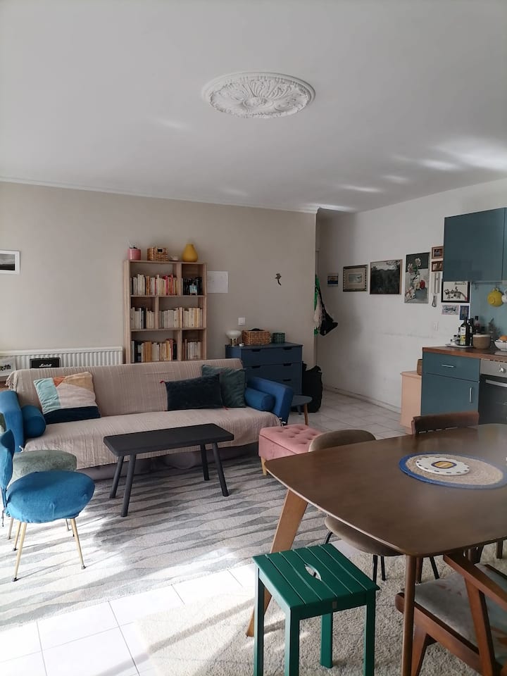Appartement 50 M2 Ultra Lumineux - Pantin