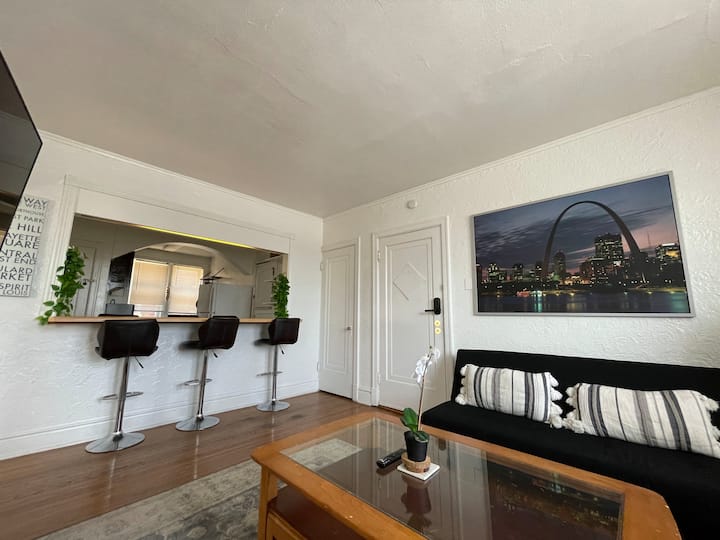 Embrace The Heart Of St. Louis! - University City, MO