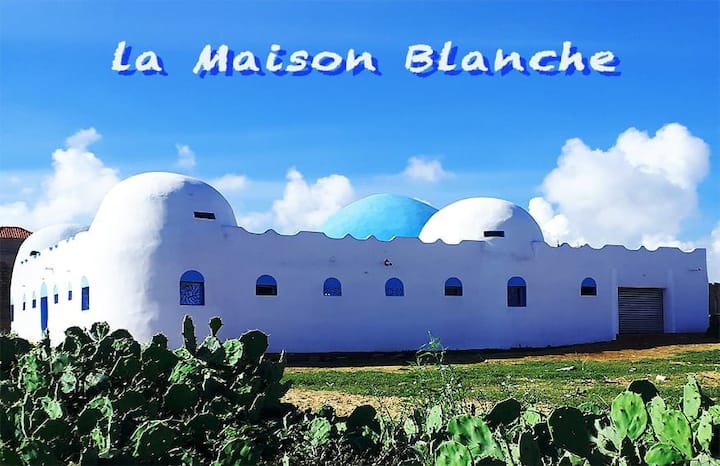 "La Maison Blanche" Maison D'hôtes Insolite - Senegal