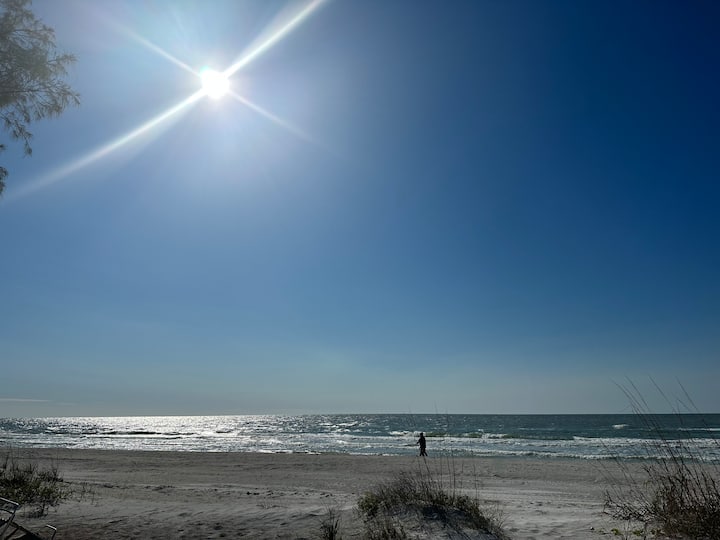 Endless Summer With Beach Access # D - Indian Shores, FL