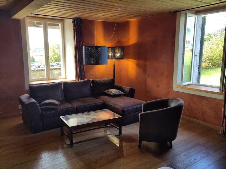 Maison Typique Vraiment Pensée Pour Vos Vacances - Clairvaux-les-Lacs