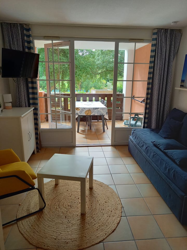 L'océan Sous Les Pins - Moliets-et-Maa