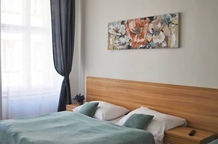 Spacious Apartment 32 Soukenicka - Praga