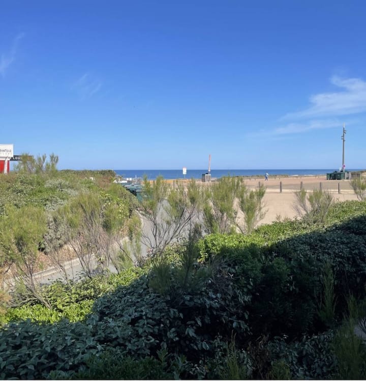 Magnifique T3 Bord De Mer, Vue Ocean, Wifi,parking - Biscarrosse