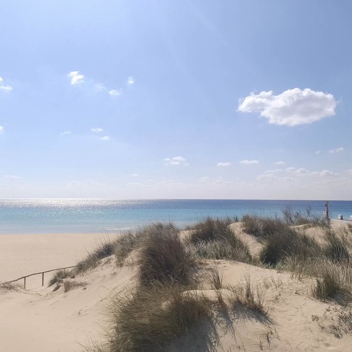 Sulla Spiaggia Di Torre Lapillo - Apulia