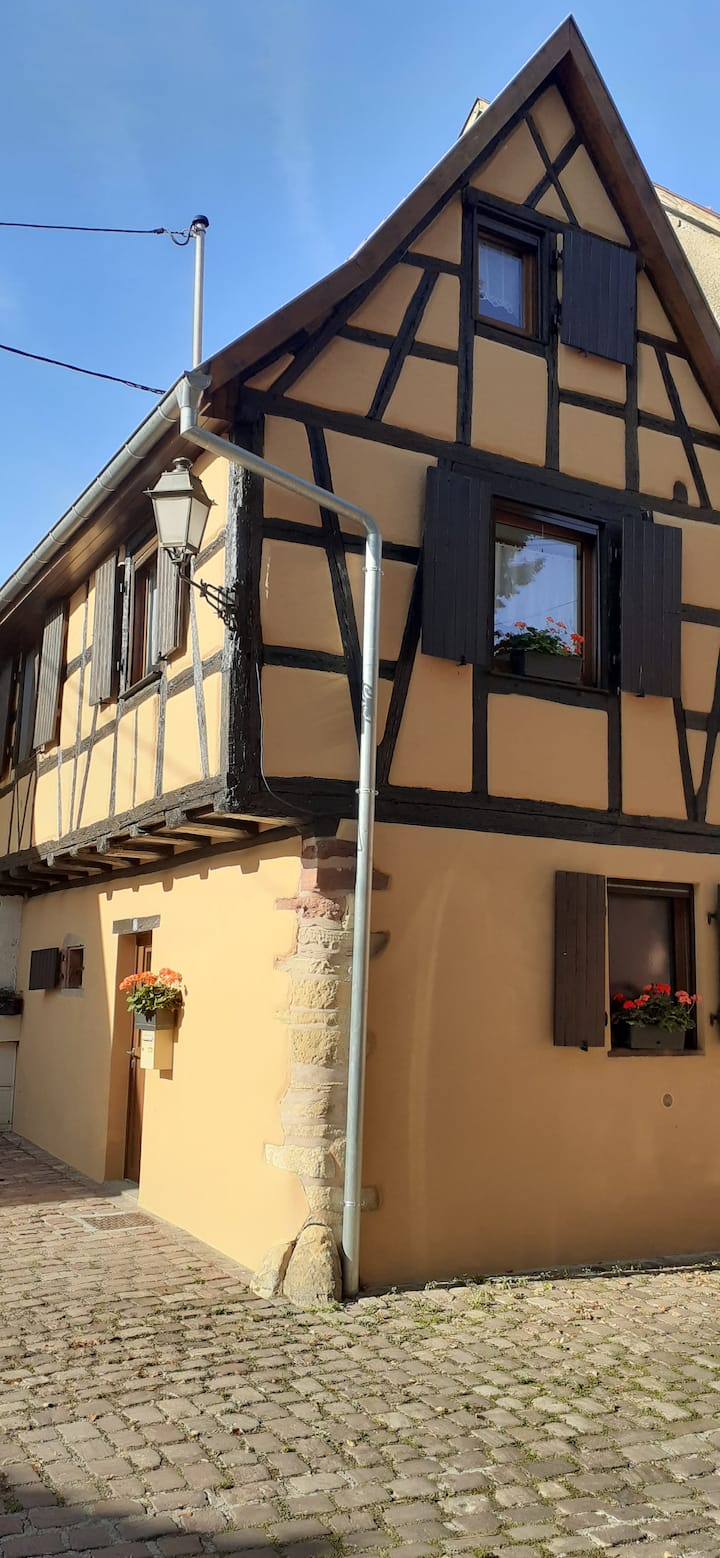 Idéal Séjour Alsace ! Proche Colmar, Gîte Muse - Haut-Rhin