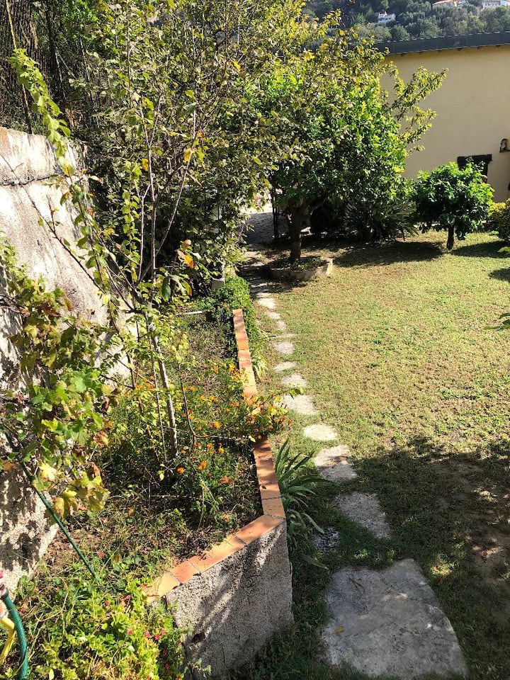 Charmant Appartement + Terrasse Sur Une Colline - Mentona